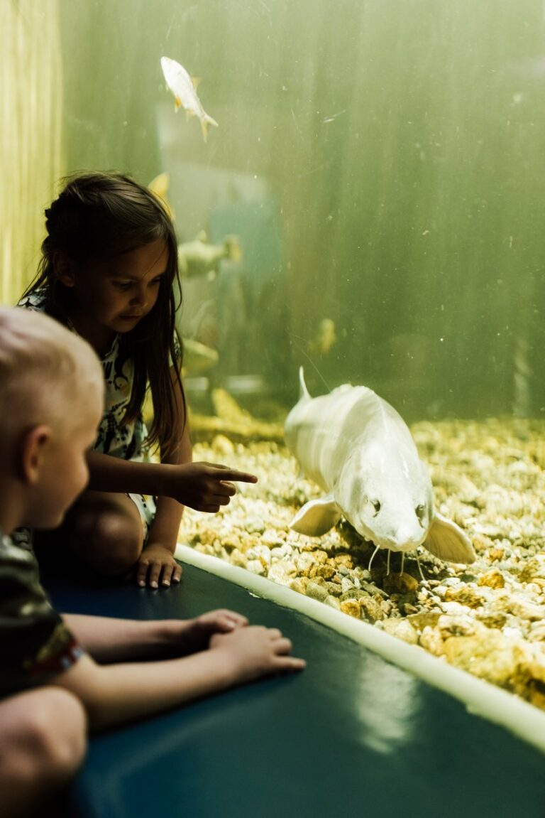 Maritime Town Kotka | Visit Kotka-Hamina